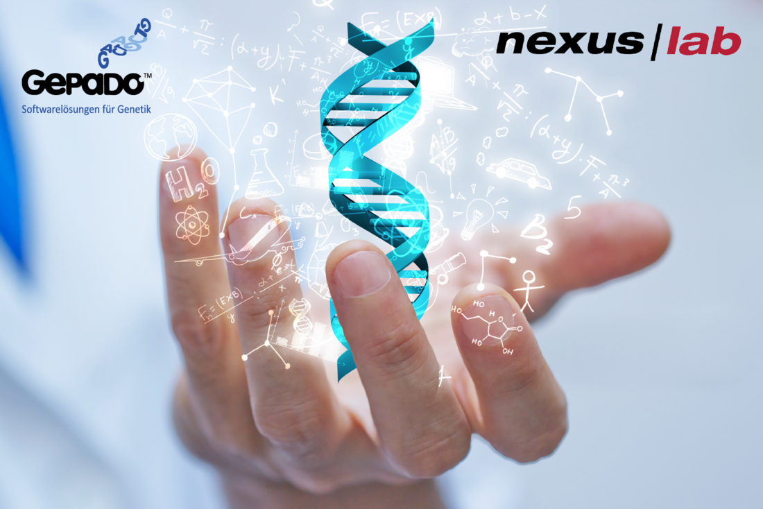 GEPADO und NEXUS verstärken das gemeinsame Engagement für die Genetik - NEXUS / AG